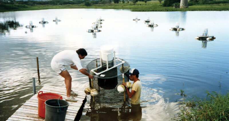 Small Scale Backyard Fish Farming – Mother Earth News
